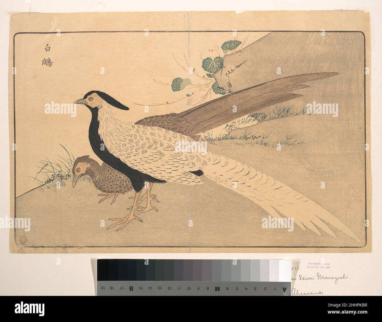 Bai xian 1789 Kuwagata Keisai Japanese. Bai xian 36989 Stock Photo - Alamy