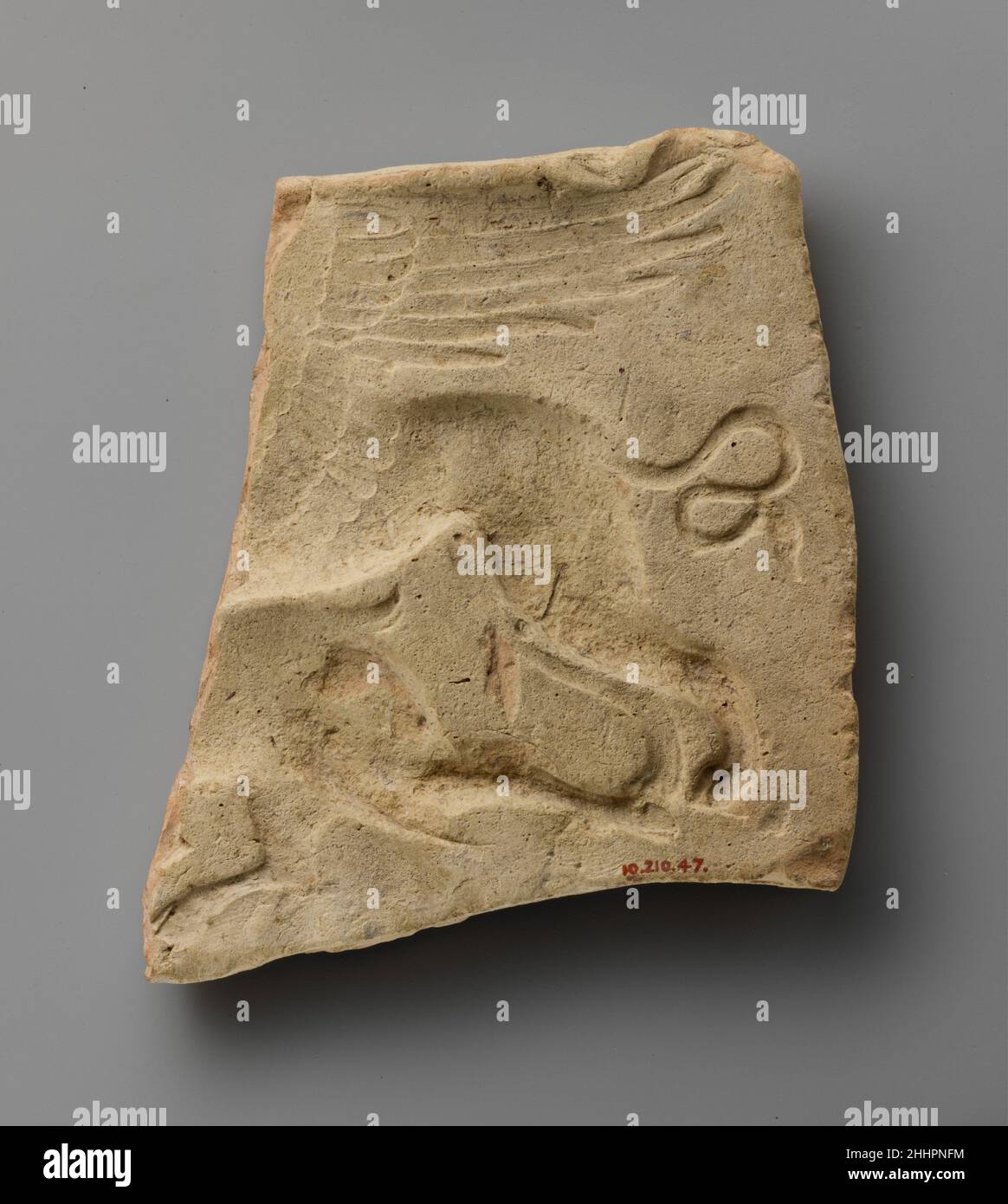 Griffin seizing hi-res stock photography and images - Alamy