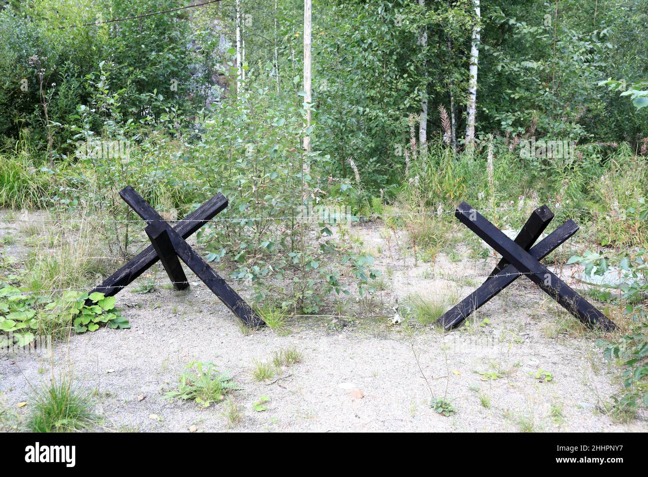 Wooden hedgehogs with barbed wire in forest, Karelia Stock Photo - Alamy
