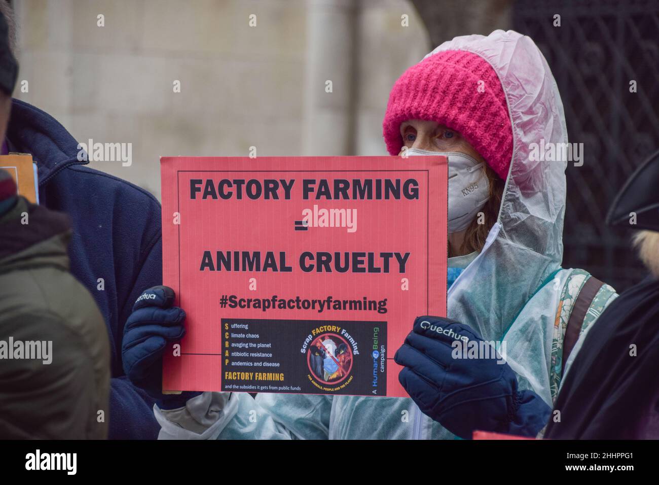 An activist wearing a hazmat suit holds a 'Factory Farming = Animal ...