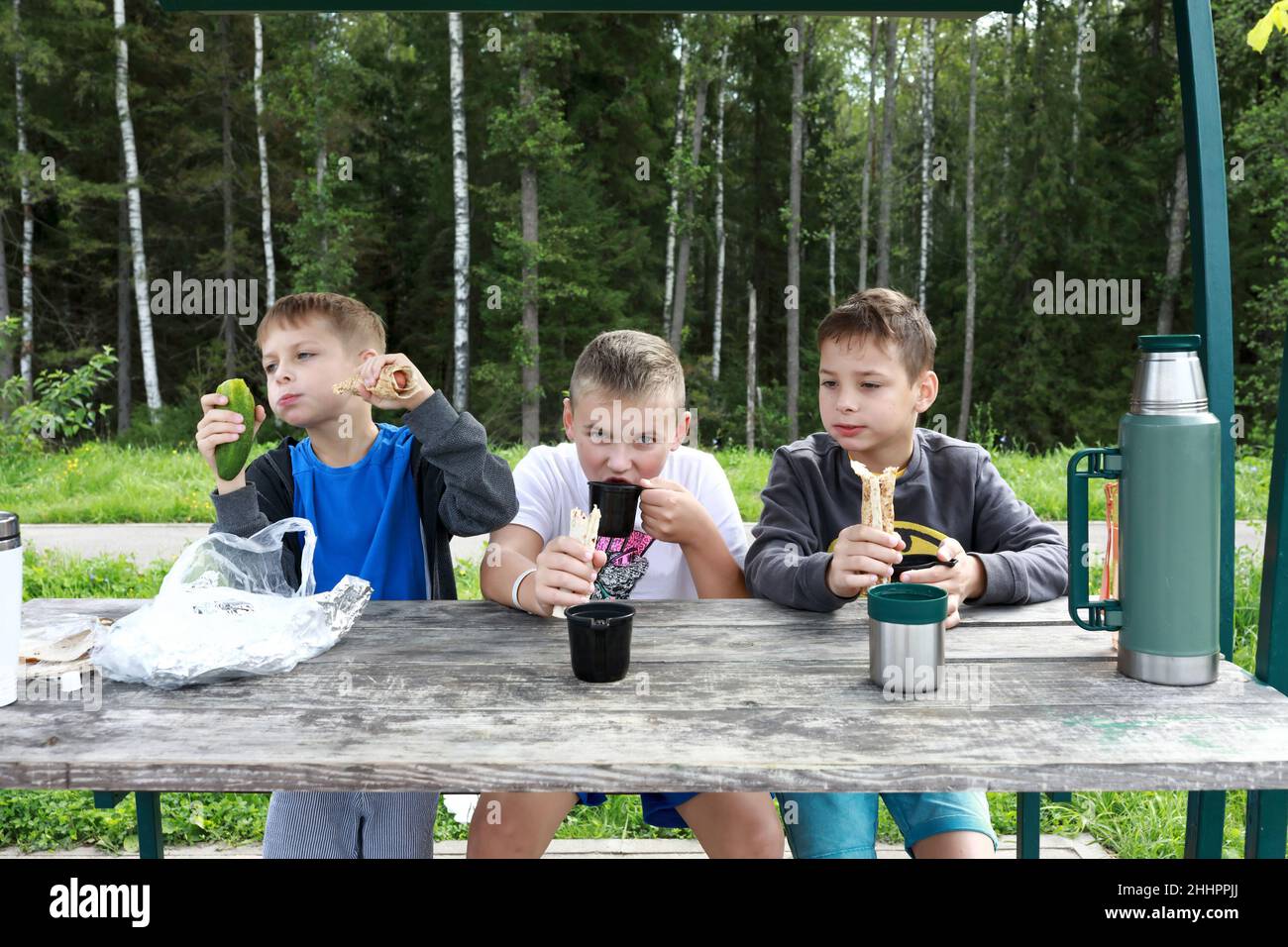 Children have lunch on picnic in park Stock Photo - Alamy