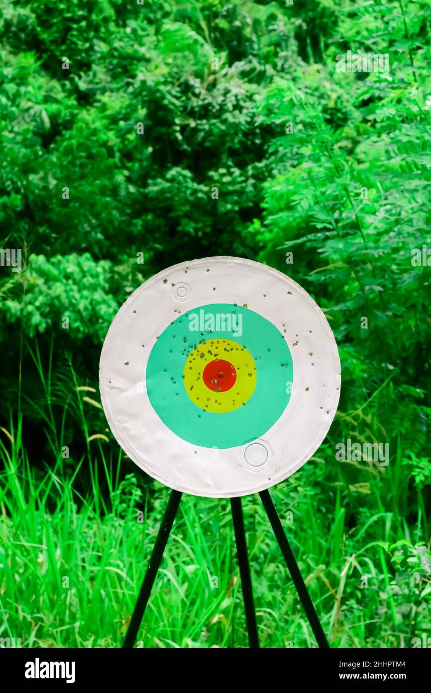 Round Colored target board in the green background Stock Photo - Alamy