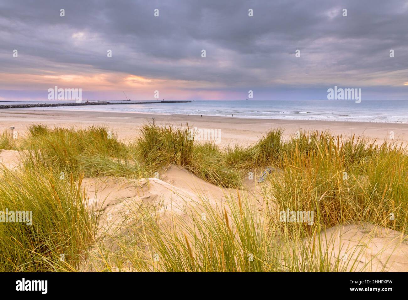 Landscape view of sand dune on the North sea coast at sunset near Wijk ...