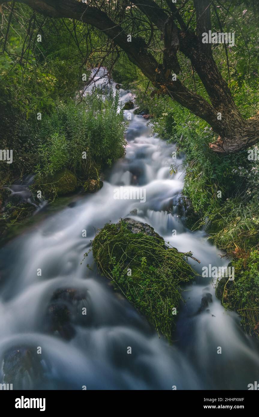 Therapeutic exposure hi-res stock photography and images - Alamy