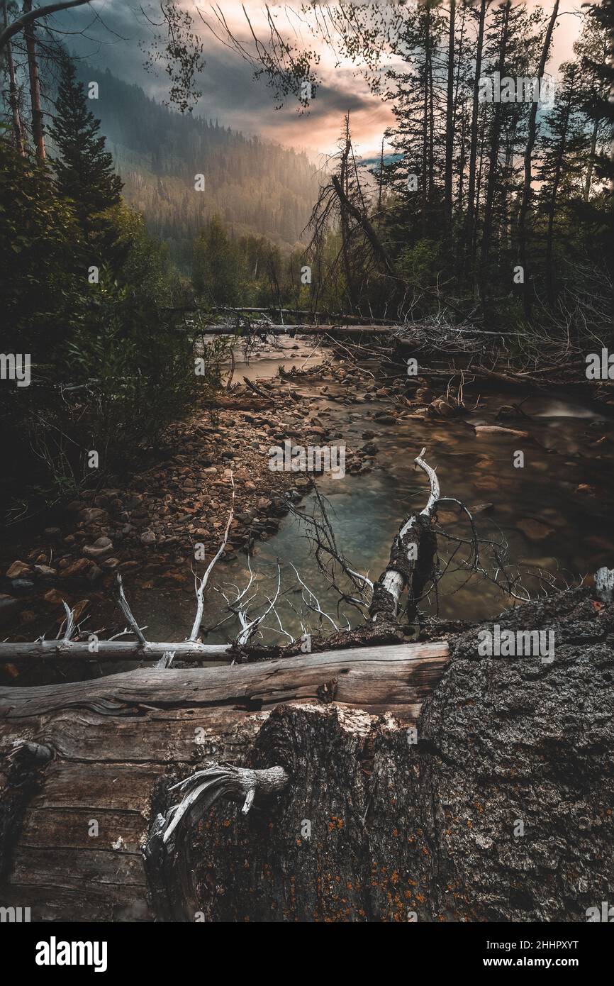 Beautiful river wallpaper hi-res stock photography and images - Alamy