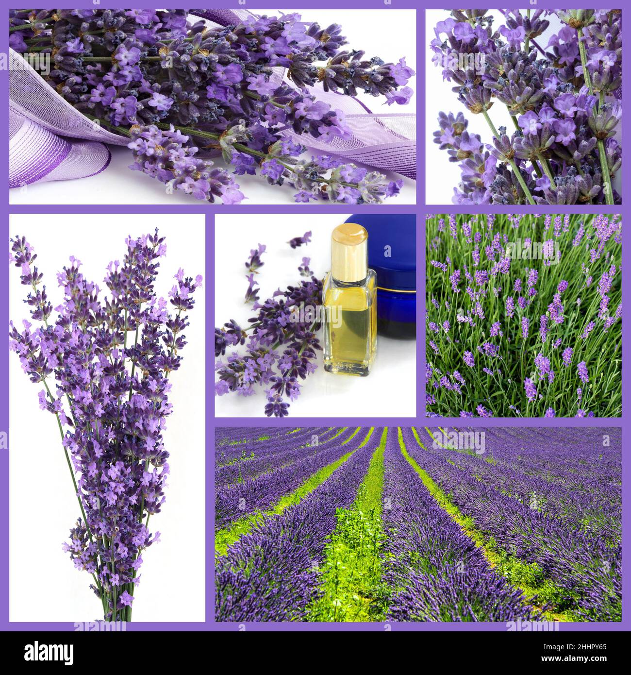 Lila collage hi-res stock photography and images - Alamy