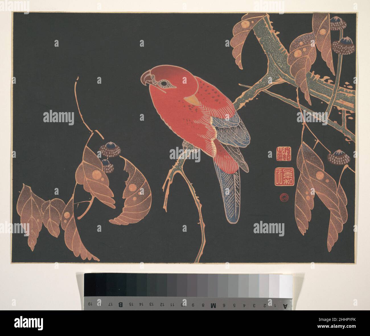 Red Parrot on the Branch of a Tree ca. 1900 Itō Jakuchū Japanese. Red ...