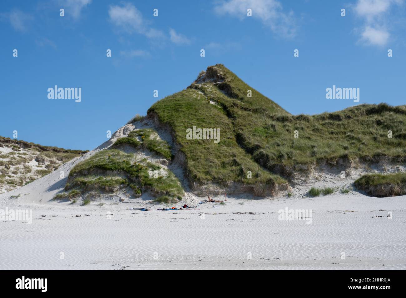 Pyramid-shaped sand dune covered with Marram grass (Ammophila arenaria ...