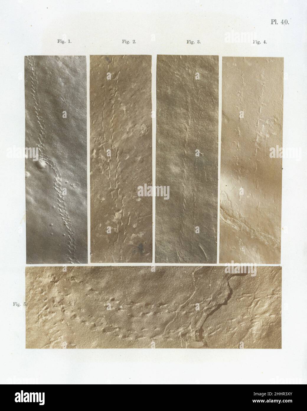 Ichnography hi-res stock photography and images - Alamy