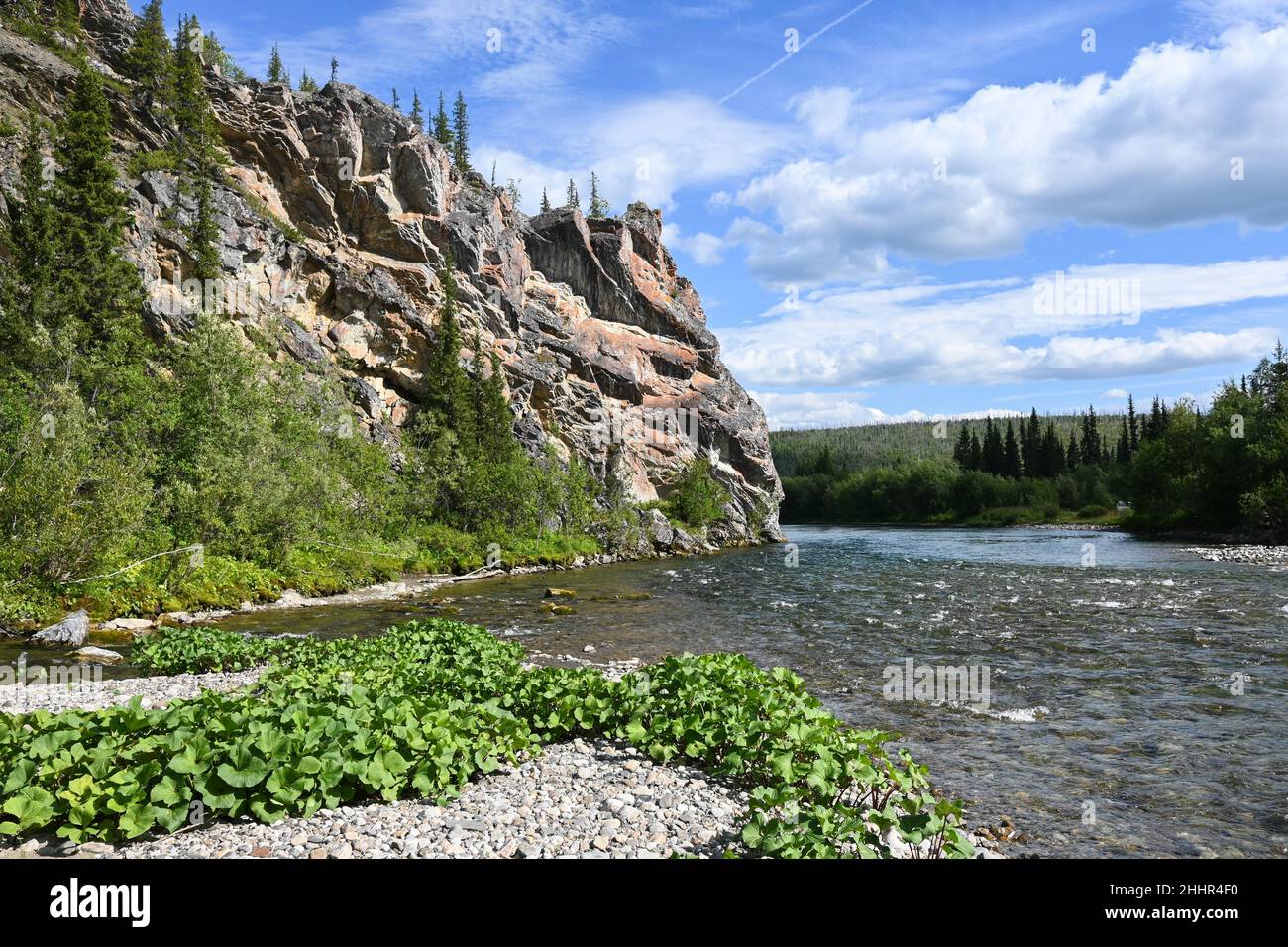 Travel along the rivers of the Circumpolar Urals. Summer landscape of ...