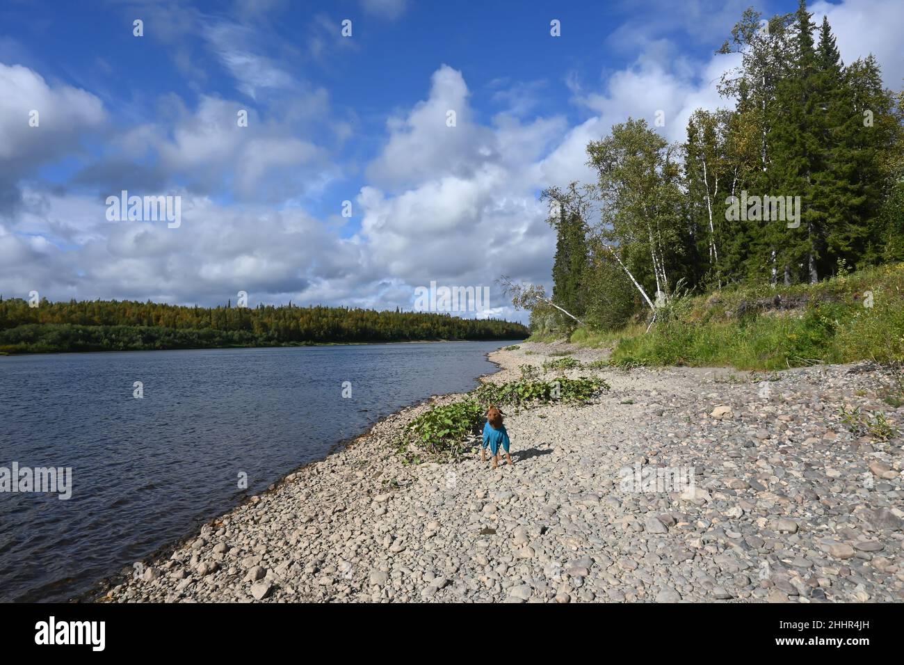 Travel along the rivers of the Circumpolar Urals. Summer landscape of ...