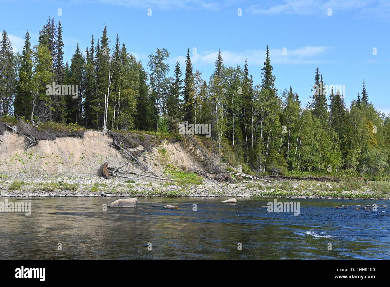 Travel along the rivers of the Circumpolar Urals. Summer landscape of ...