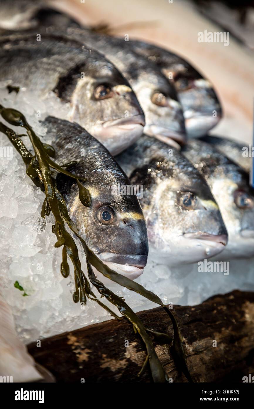 A display of fish at a fishmongers Stock Photo - Alamy