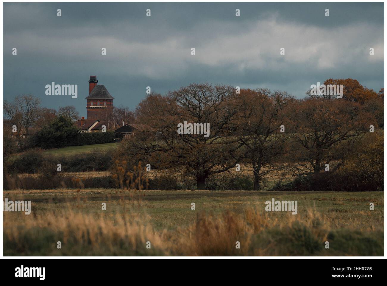 Trees in field green Cut Out Stock Images & Pictures - Alamy