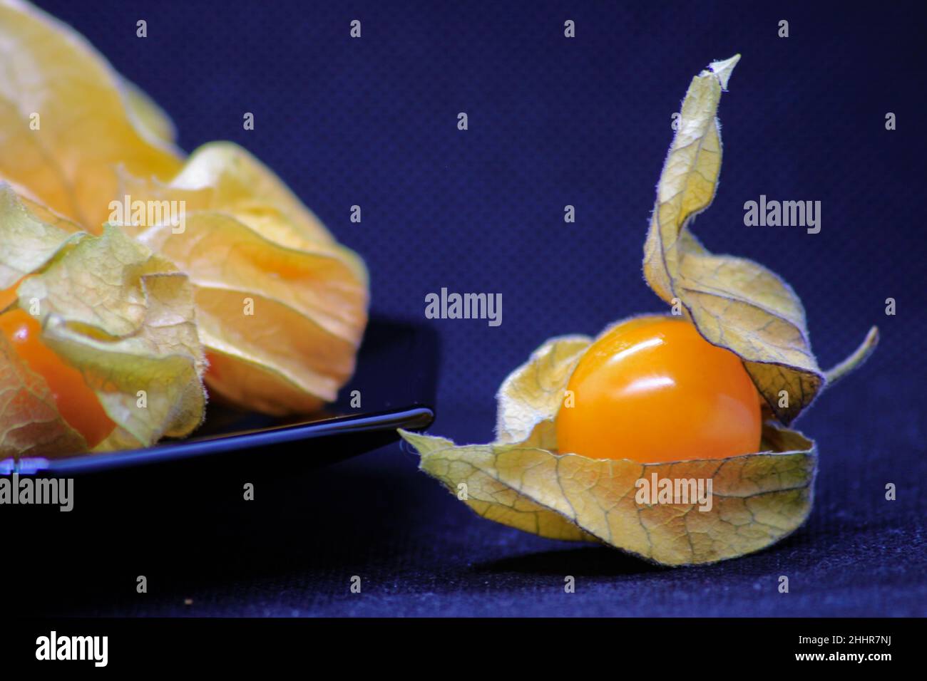 Physalis peruviana fruit. Close-up of golden berries Stock Photo - Alamy