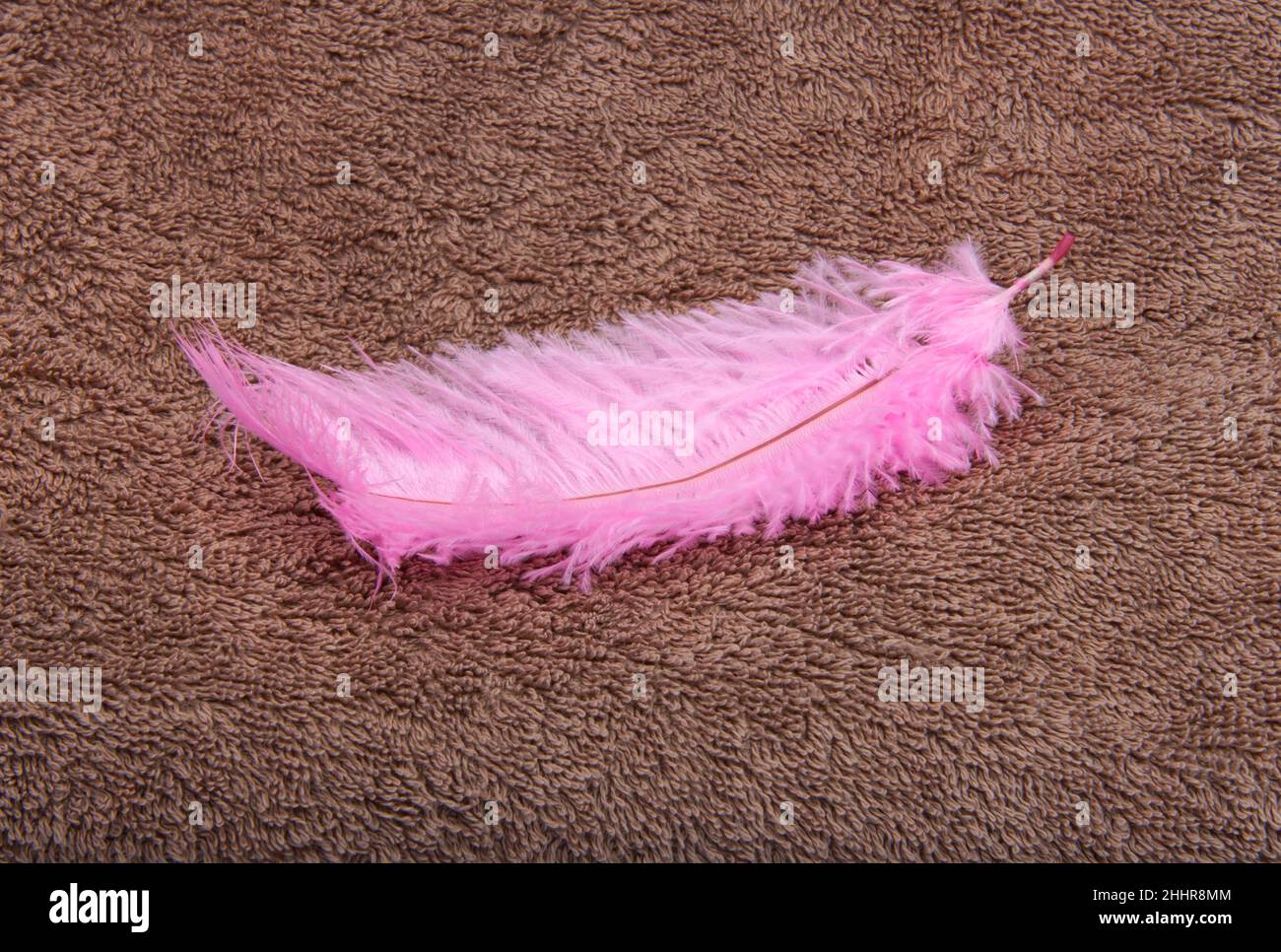 Washing color feather on the brown cloth texture Stock Photo - Alamy