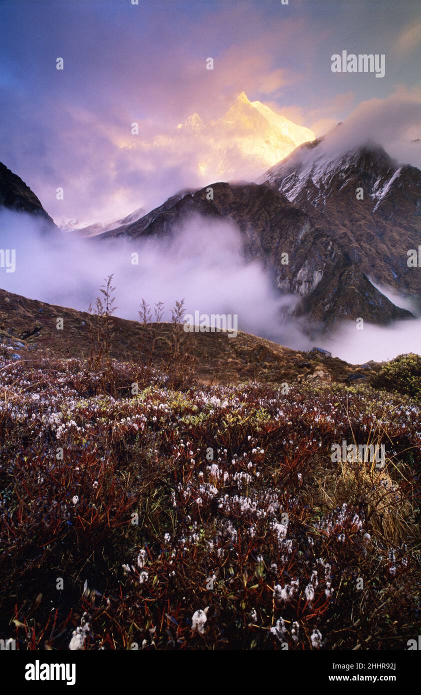 View of Machhapuchhare Mountain from Machhapuchhare Base Camp Annapurna ...
