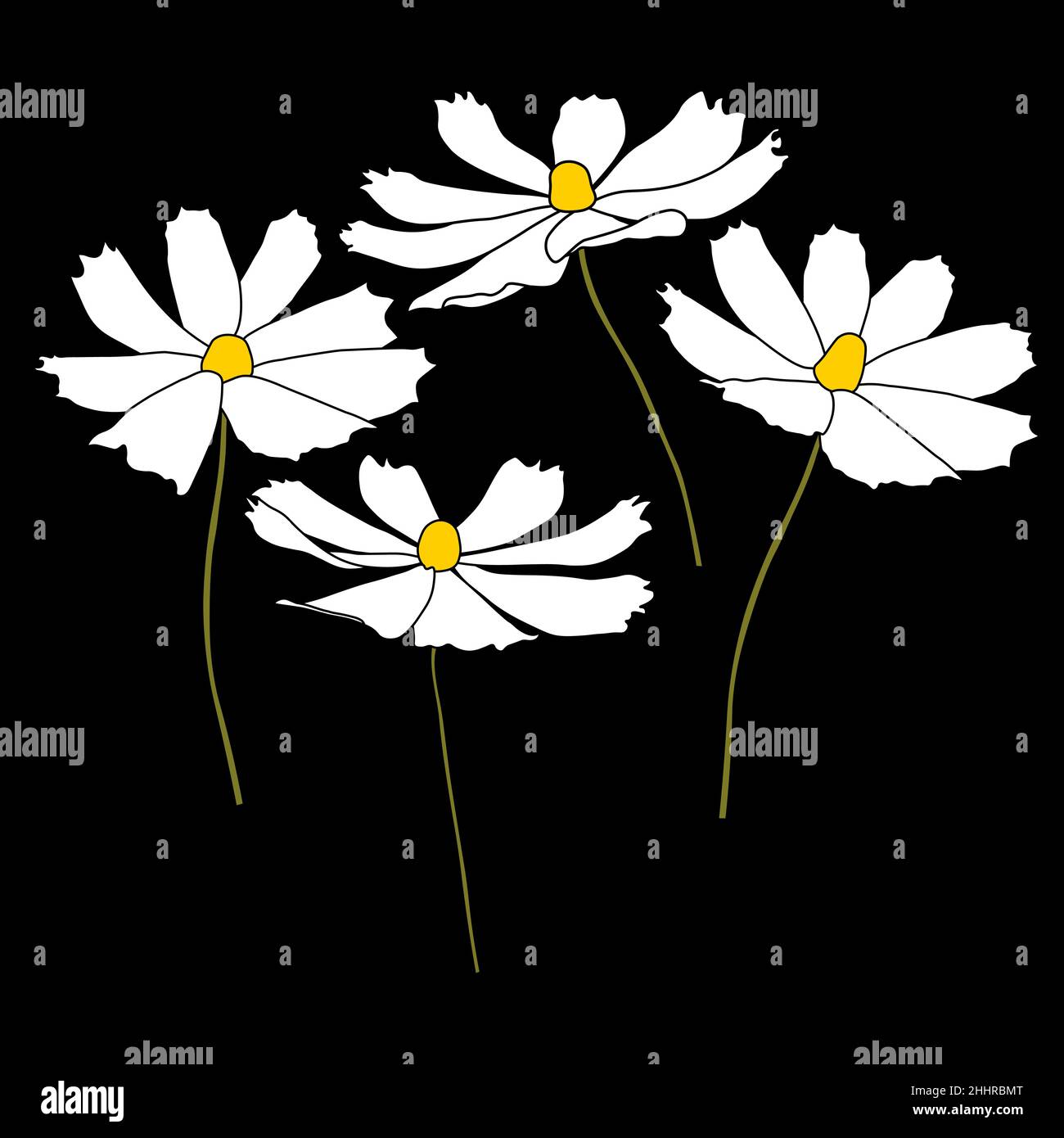 Set of cosmos flower branch vector illustration isolated on black ...