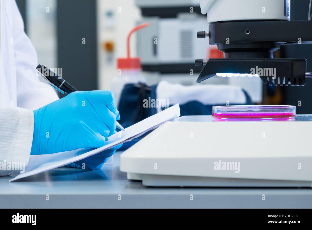 Close up scientist in rubber gloves making notes of the microbiological ...