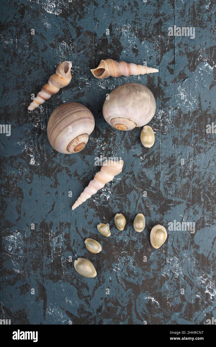 Face sad expression with tear, still life build from seashells Stock ...