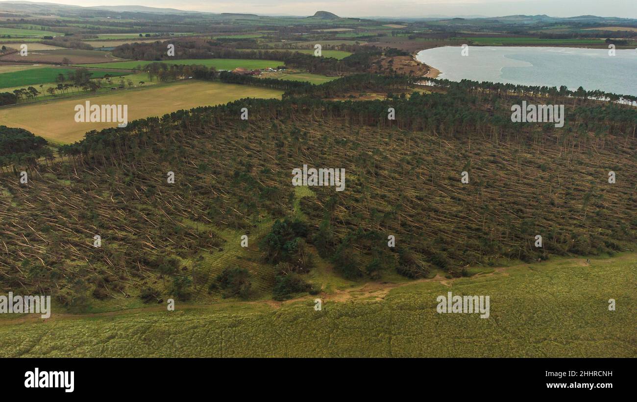 Aerial views reveal the devastation at John Muir Country Park in Dunbar ...