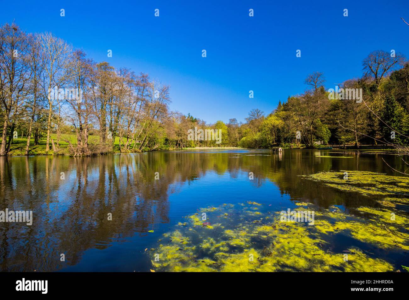 Idyllic, English Countryside Lake Landscape taken near Godstone, UK ...