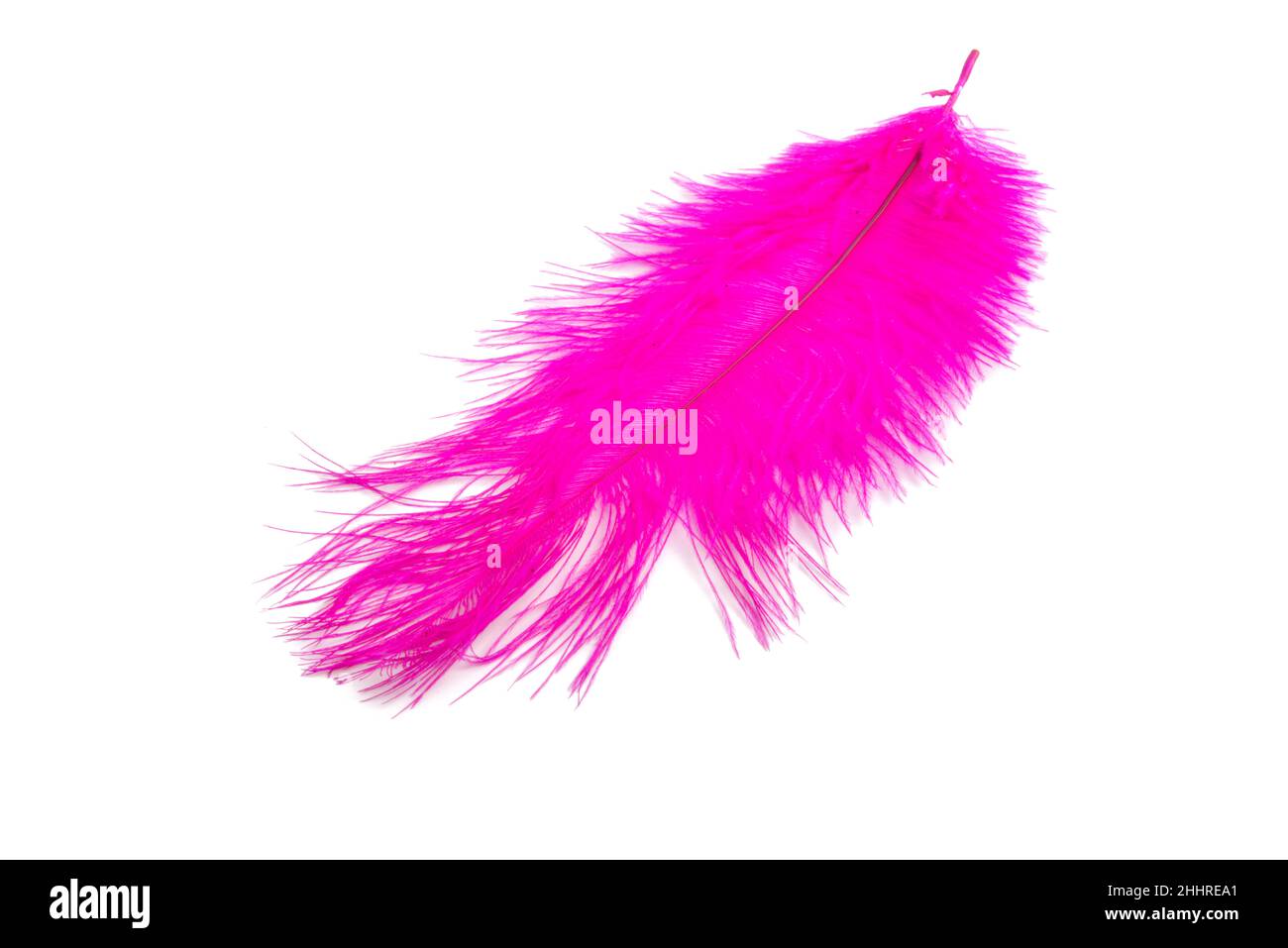 fluffy feather in pink color isolated on the white Stock Photo - Alamy