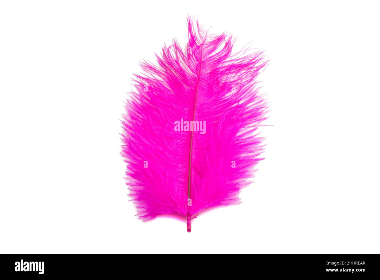 fluffy feather in pink color isolated on the white Stock Photo - Alamy