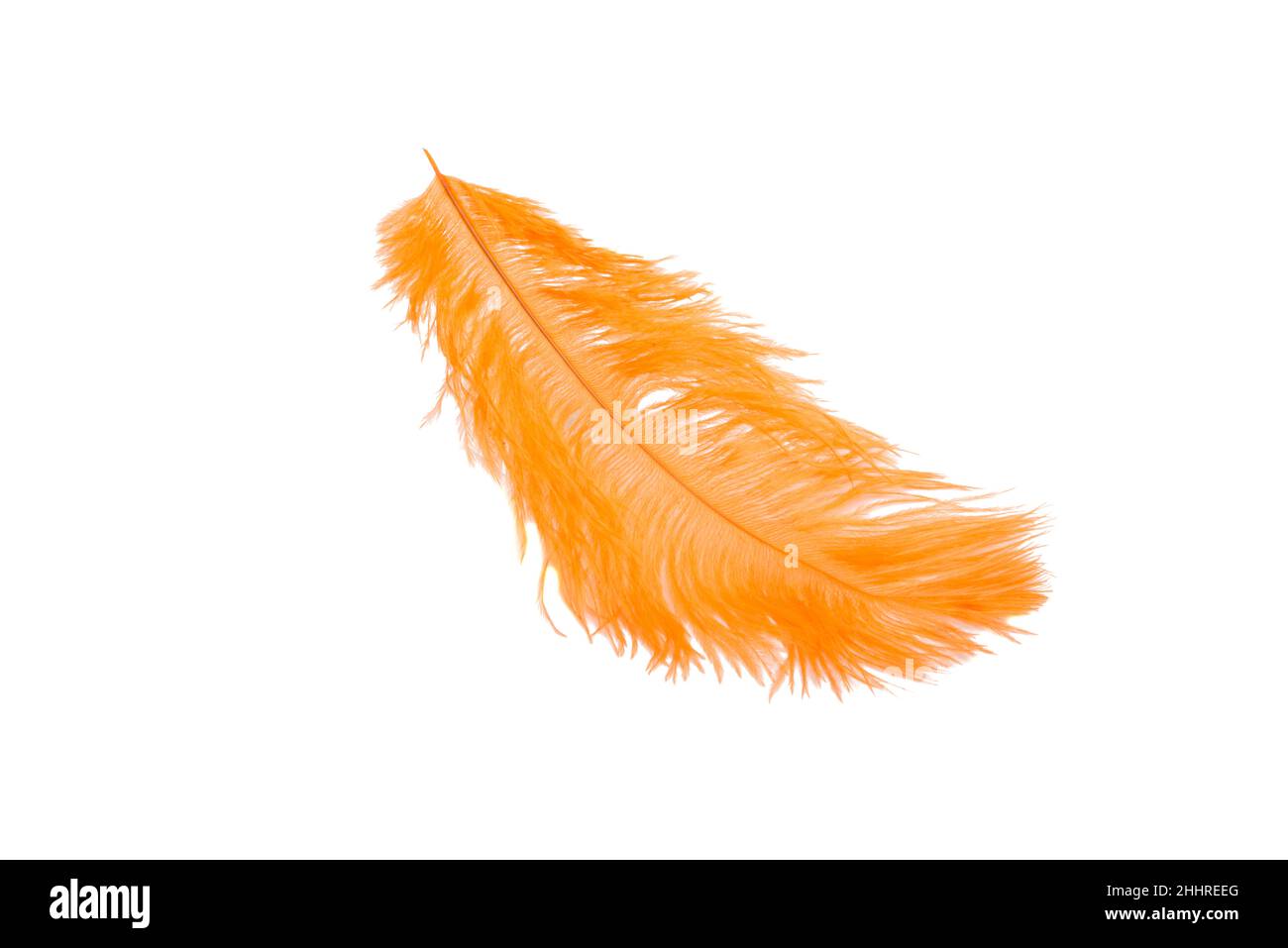 fluffy feather in orange color isolated on the white Stock Photo - Alamy