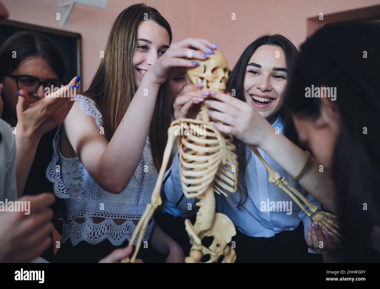 Cheerful students examine the human skeleton in the classroom Stock ...