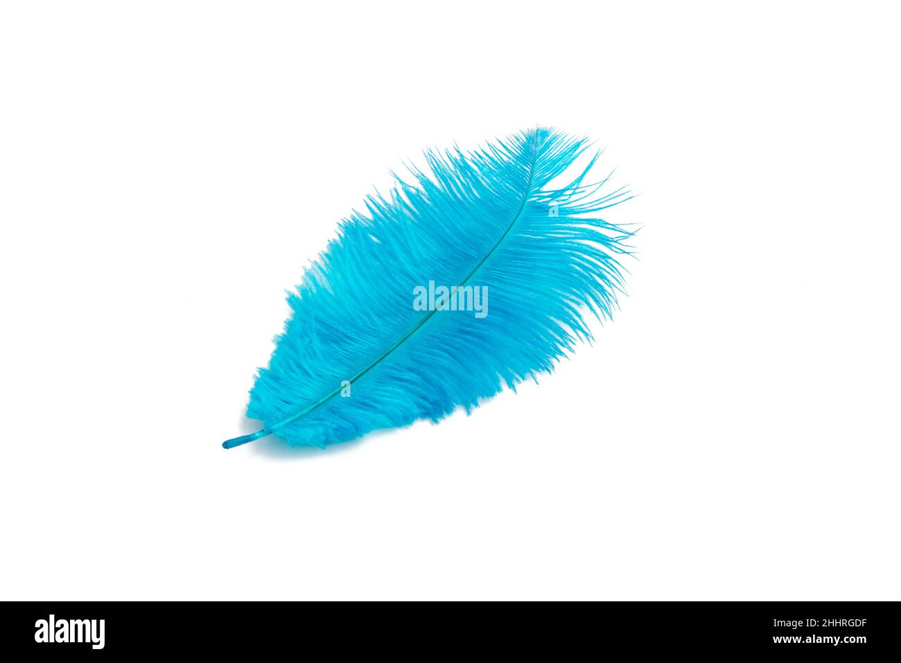 fluffy feather in blue color isolated on the white Stock Photo - Alamy