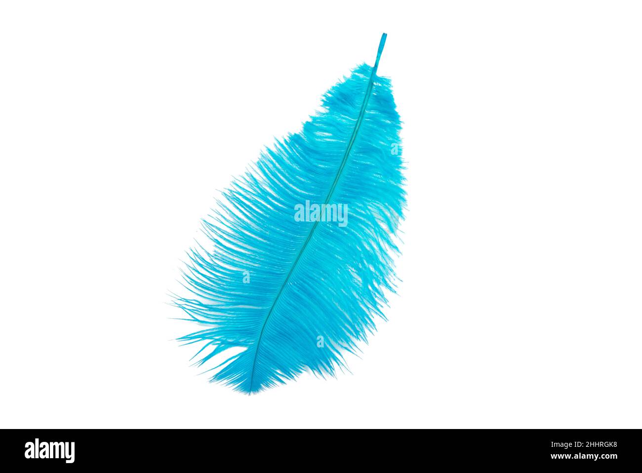 fluffy feather in blue color isolated on the white Stock Photo - Alamy