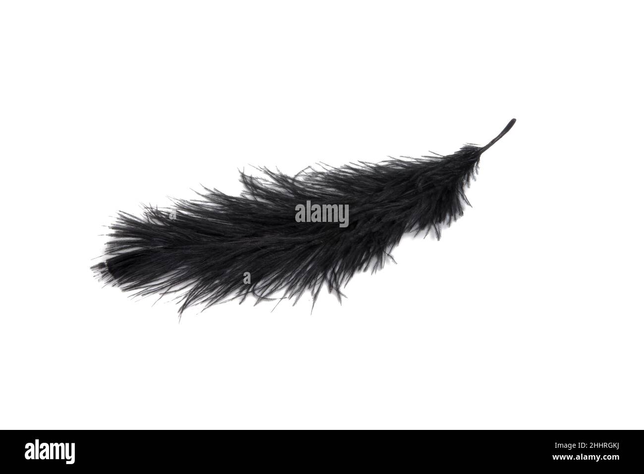 fluffy feather in black color isolated on the white Stock Photo - Alamy