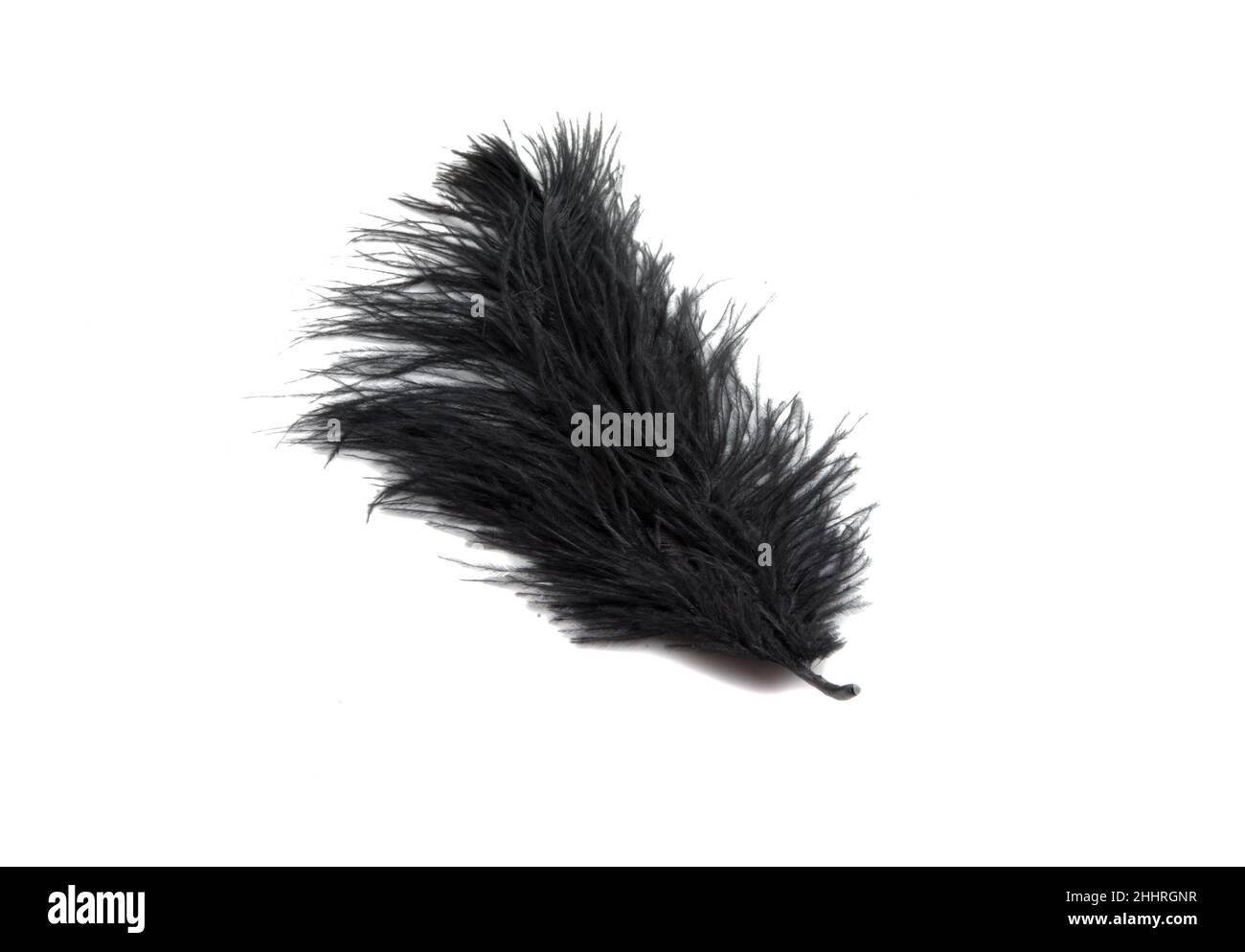 fluffy feather in black color isolated on the white Stock Photo - Alamy