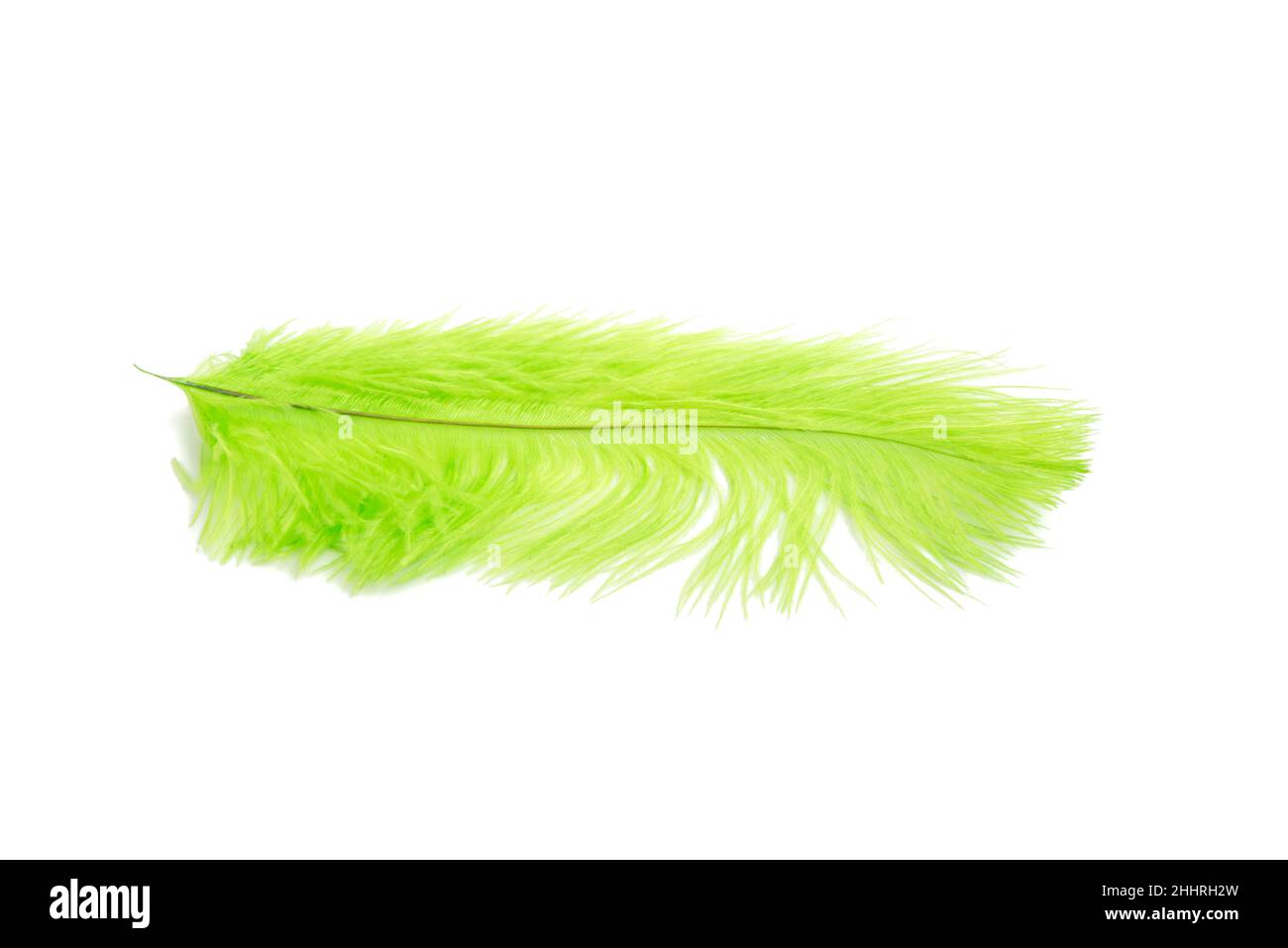 fluffy feather in green color isolated on the white Stock Photo - Alamy