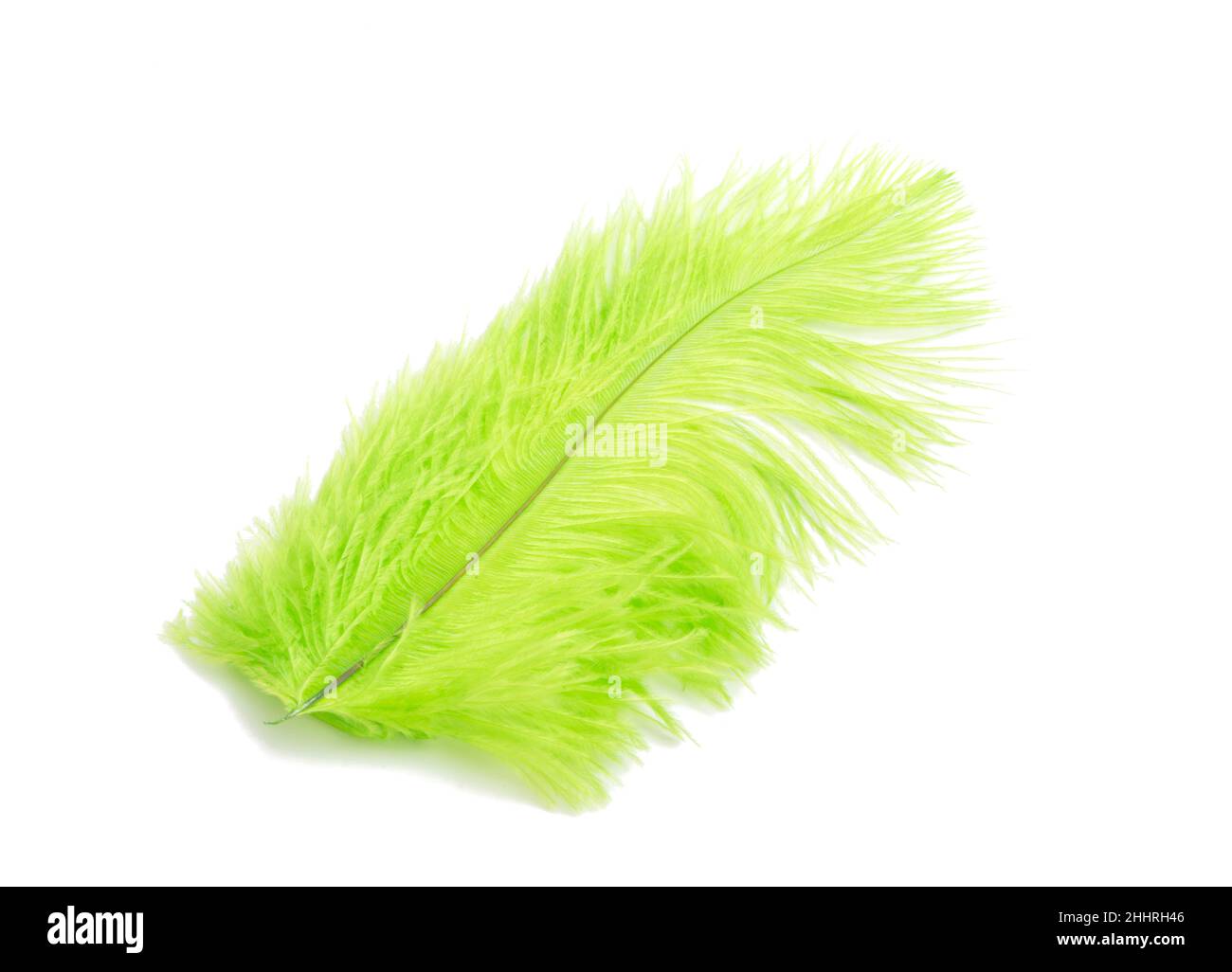 fluffy feather in green color isolated on the white Stock Photo - Alamy