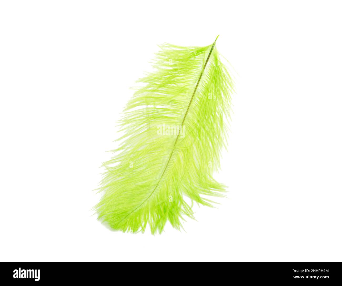 fluffy feather in green color isolated on the white Stock Photo - Alamy