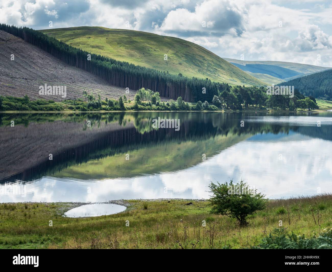 St Mary's Loch, Selkirkshire, Scottish Borders Stock Photo - Alamy