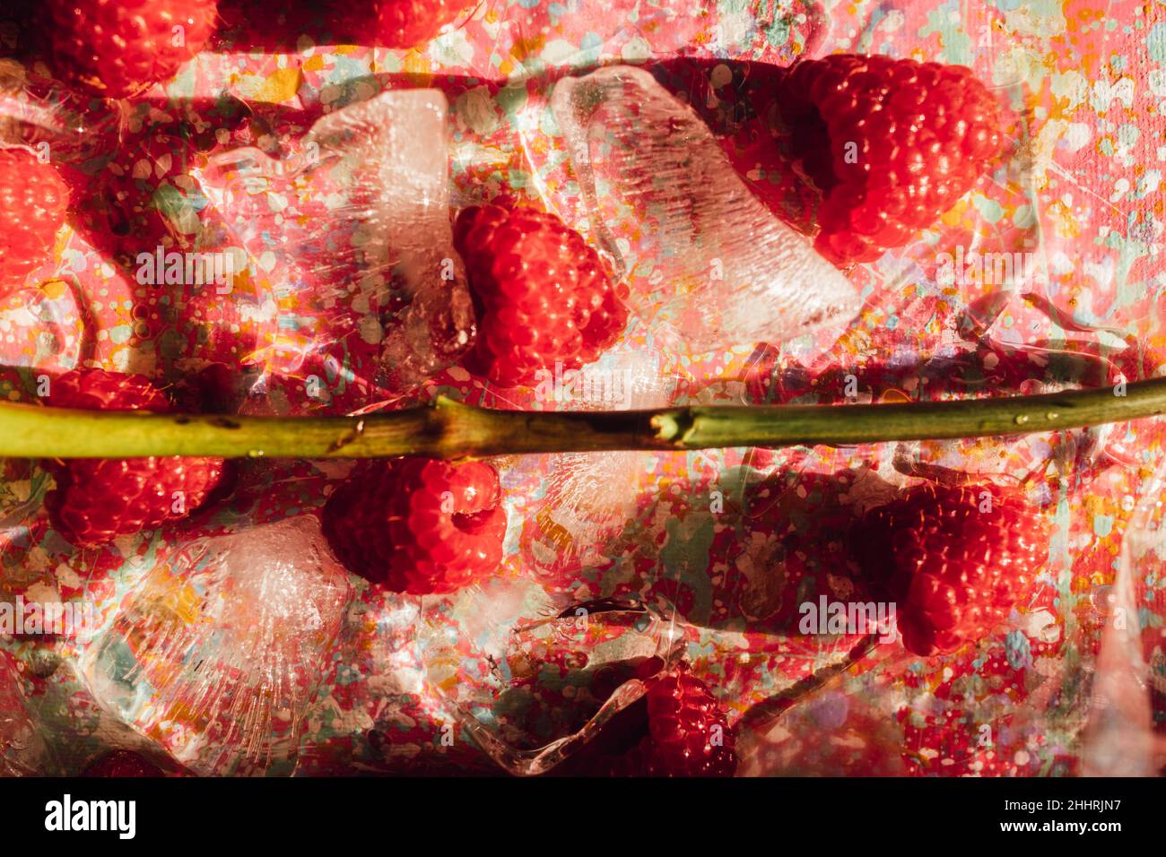 abstract red raspberry, ice, rose stem on top of pink splatter painting ...
