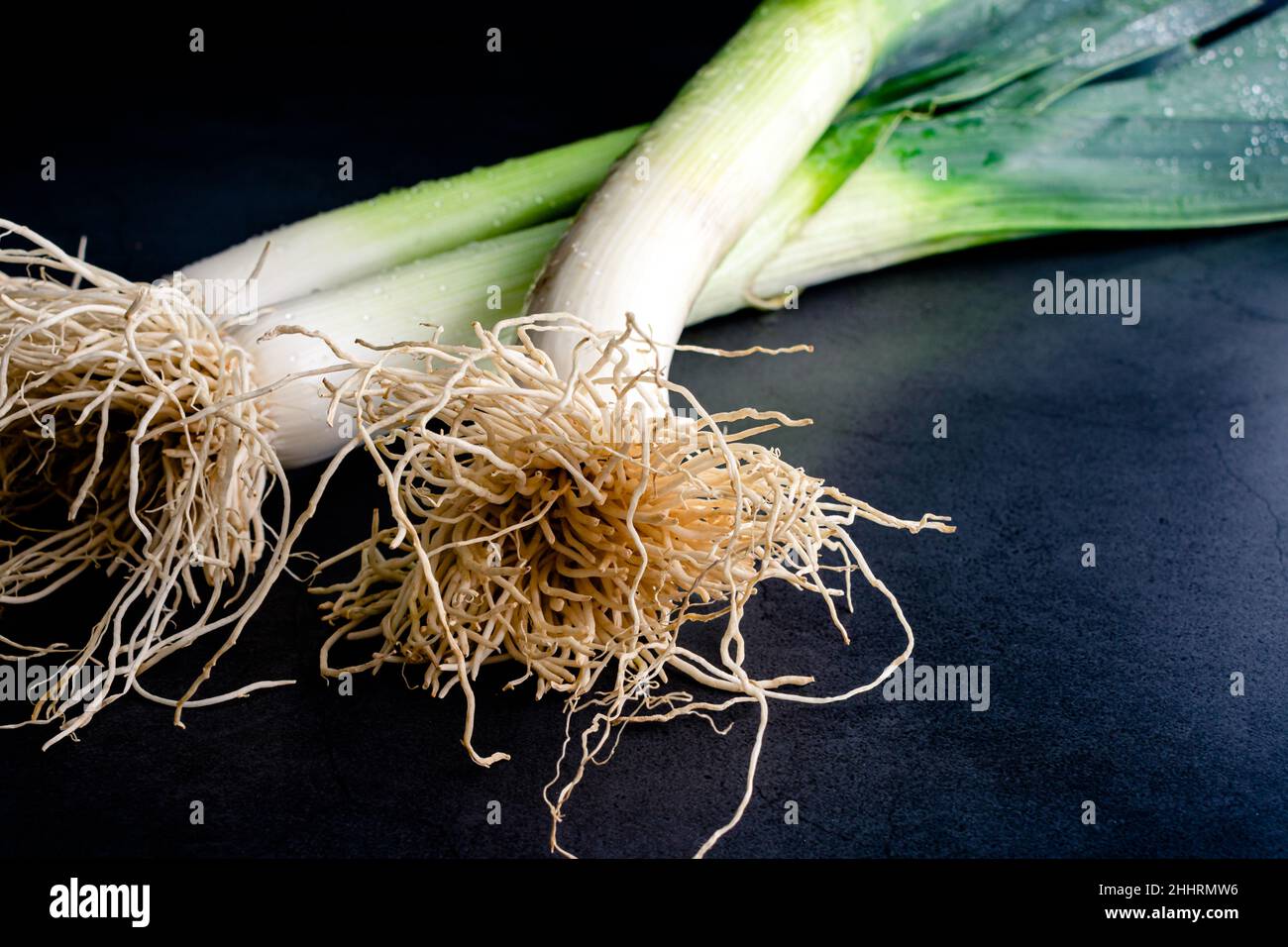 Closeup View of Leek Roots on a Dark Background: Three whole leeks ...