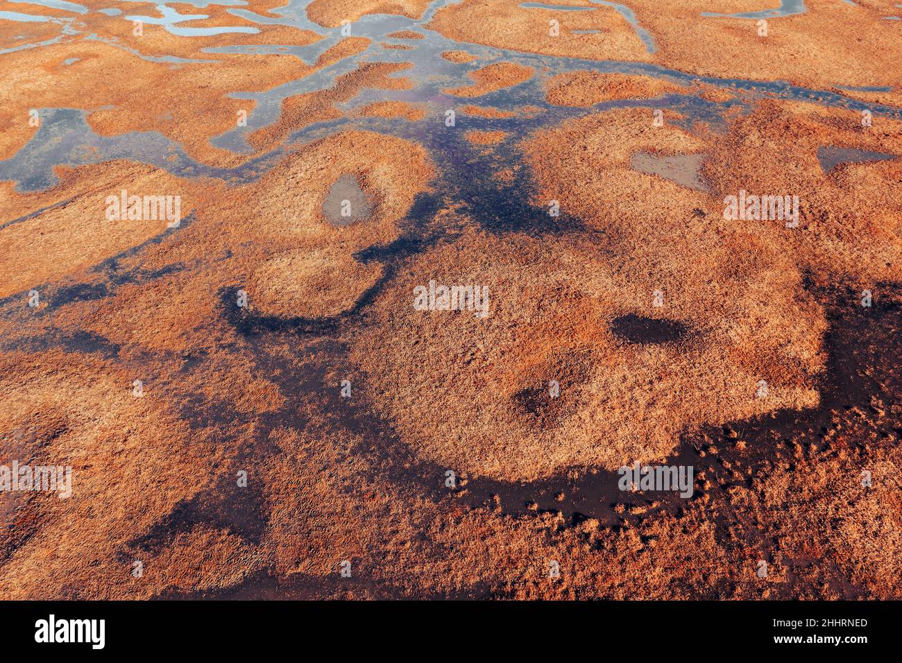 Flooded wetland landscape in sunny autumn afternoon, aerial shot from ...