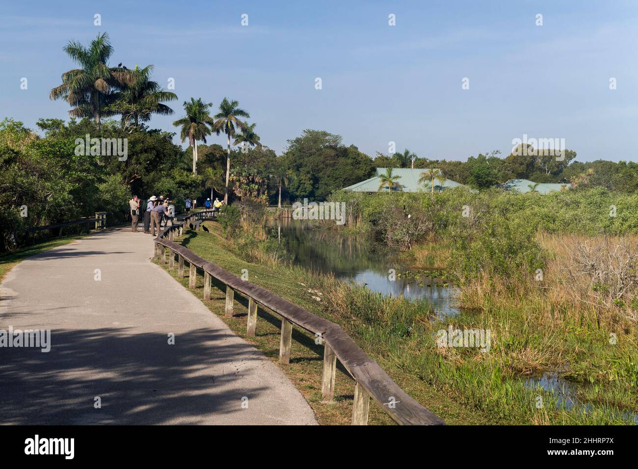 view of Anhinga Trail, Everglades, Florida, USA Stock Photo - Alamy