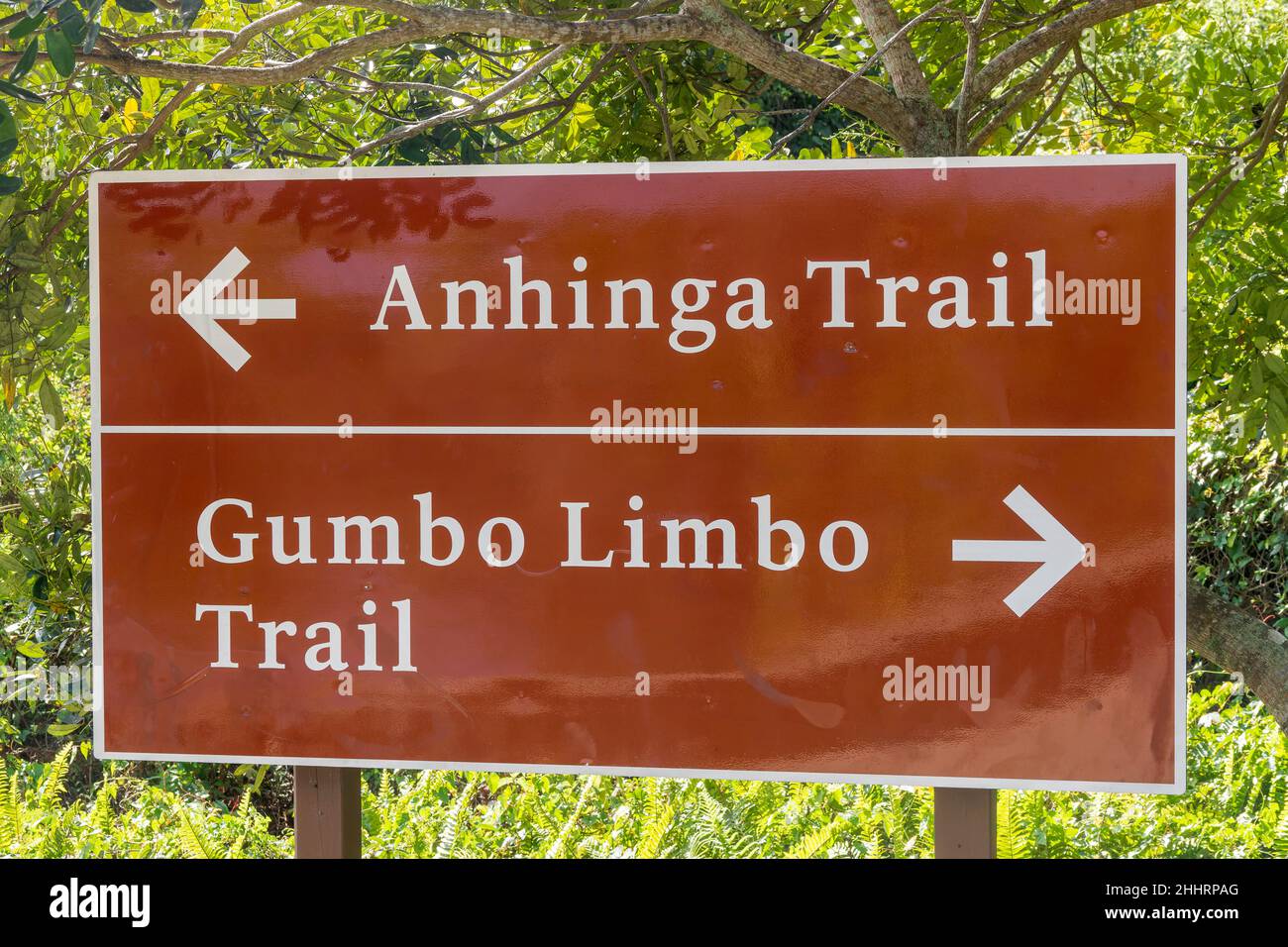 Anhinga Trail and Gumbo Limbo Trail sign, Everglades, Florida, USA ...