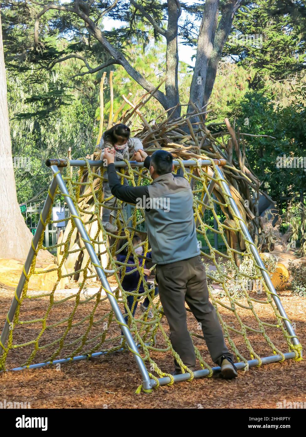 Children at Play at Wander Woods Exhibit, California Academy of ...