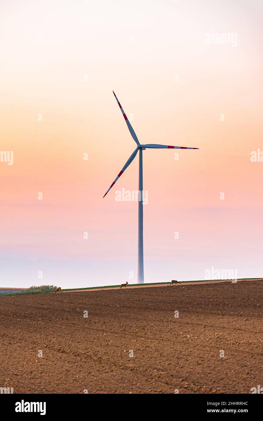 Wind Turbine Ecology Power In Nature Wind Power Electricity Stock Photo ...