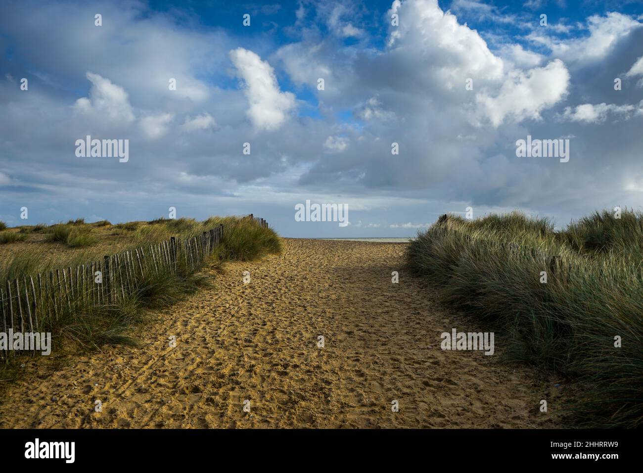 Path through the sand hi-res stock photography and images - Alamy
