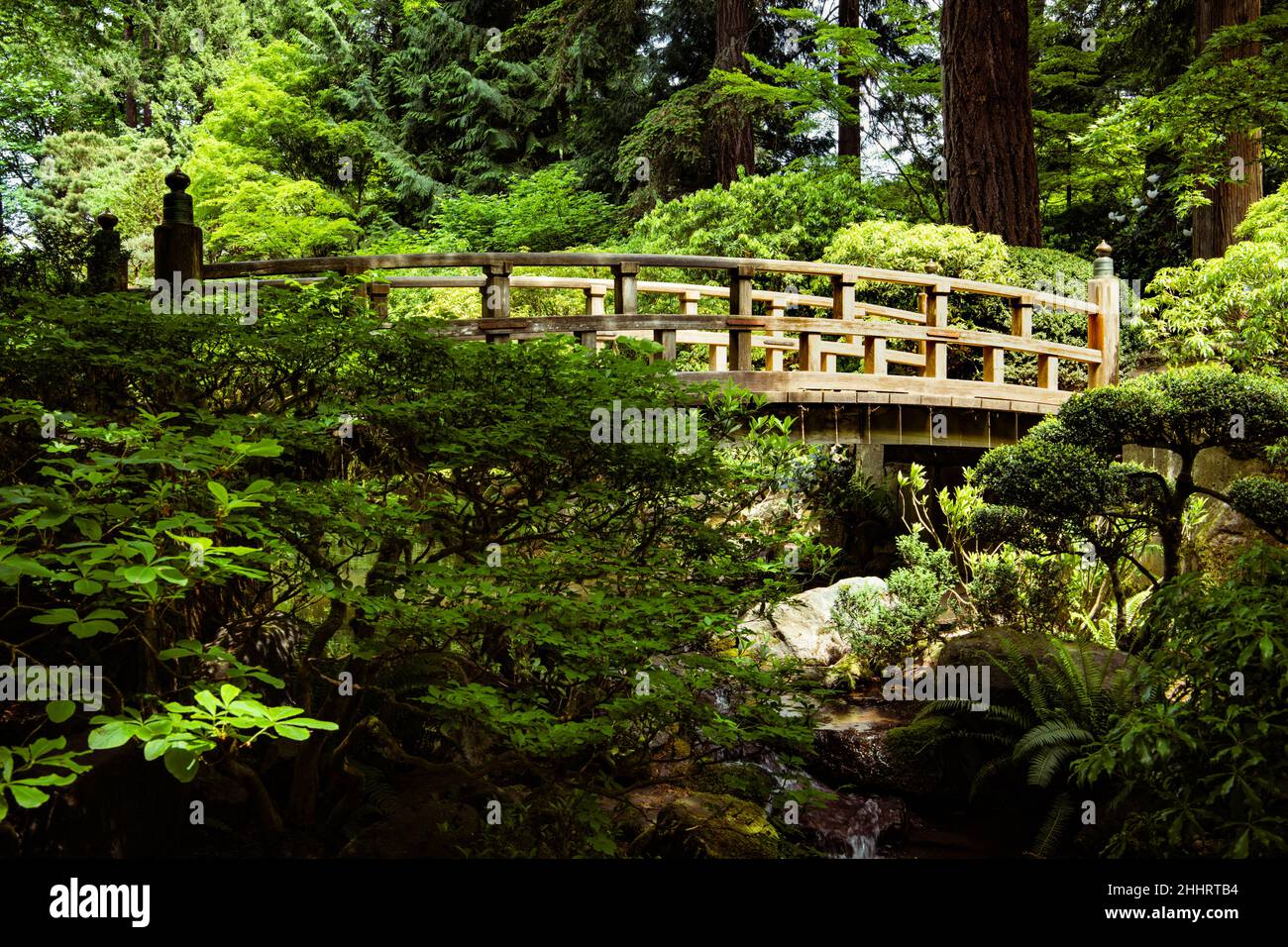 Garden scene with mature trees and arched wooden bridge over a stream ...