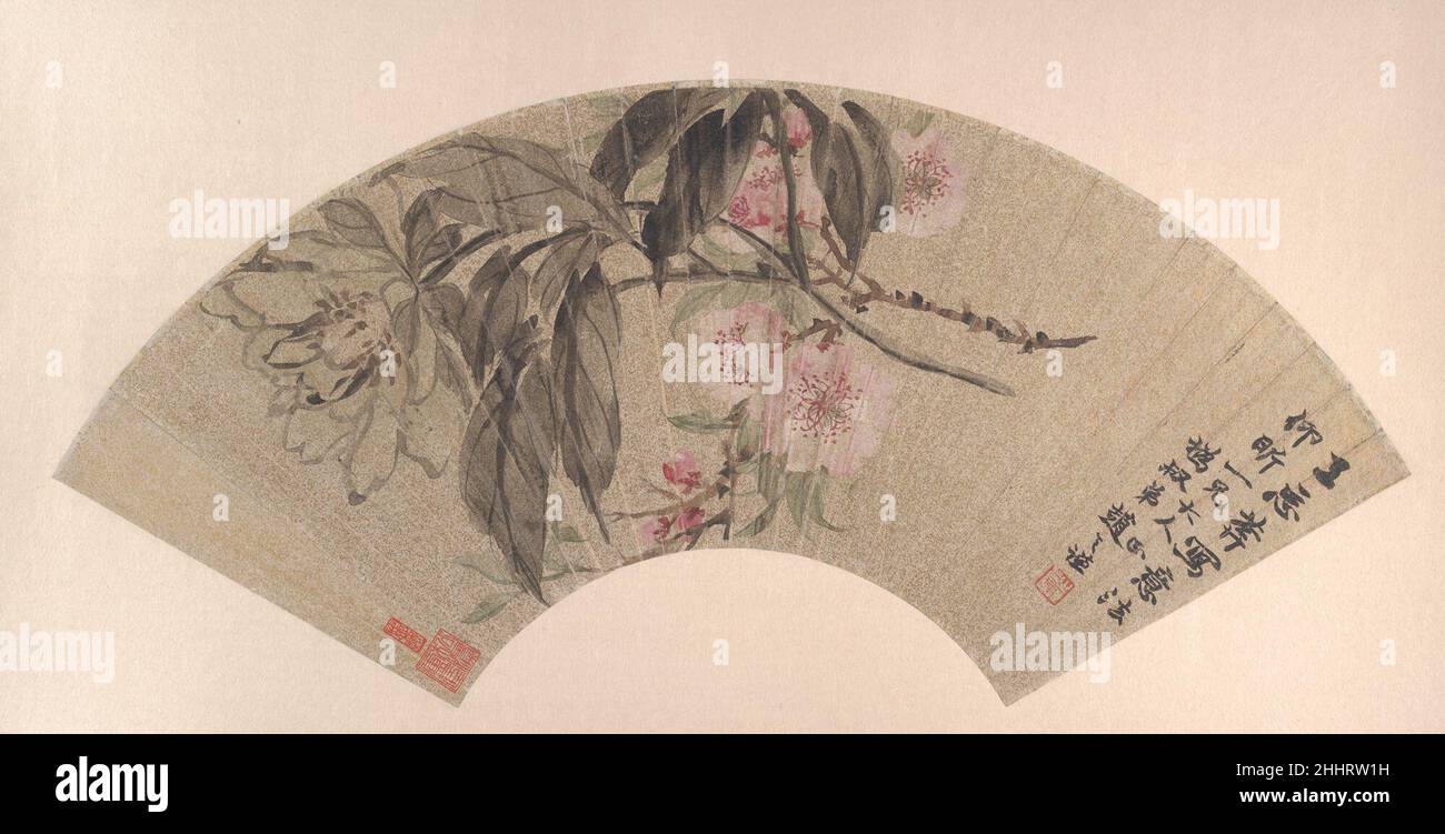 Contrasting compositional hi-res stock photography and images - Alamy