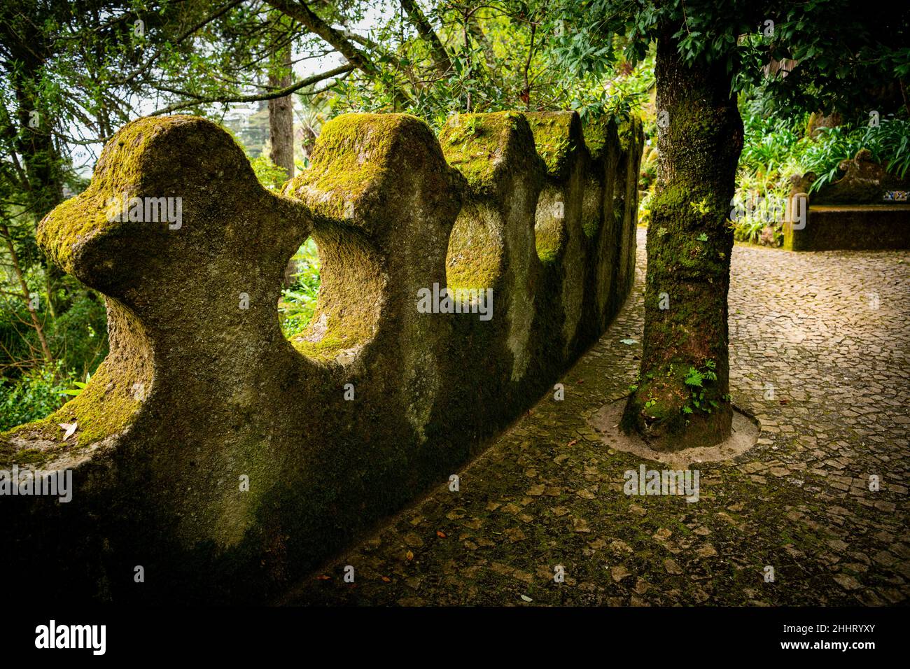Stone garden path through lush green foliage along a medeival wall on ...