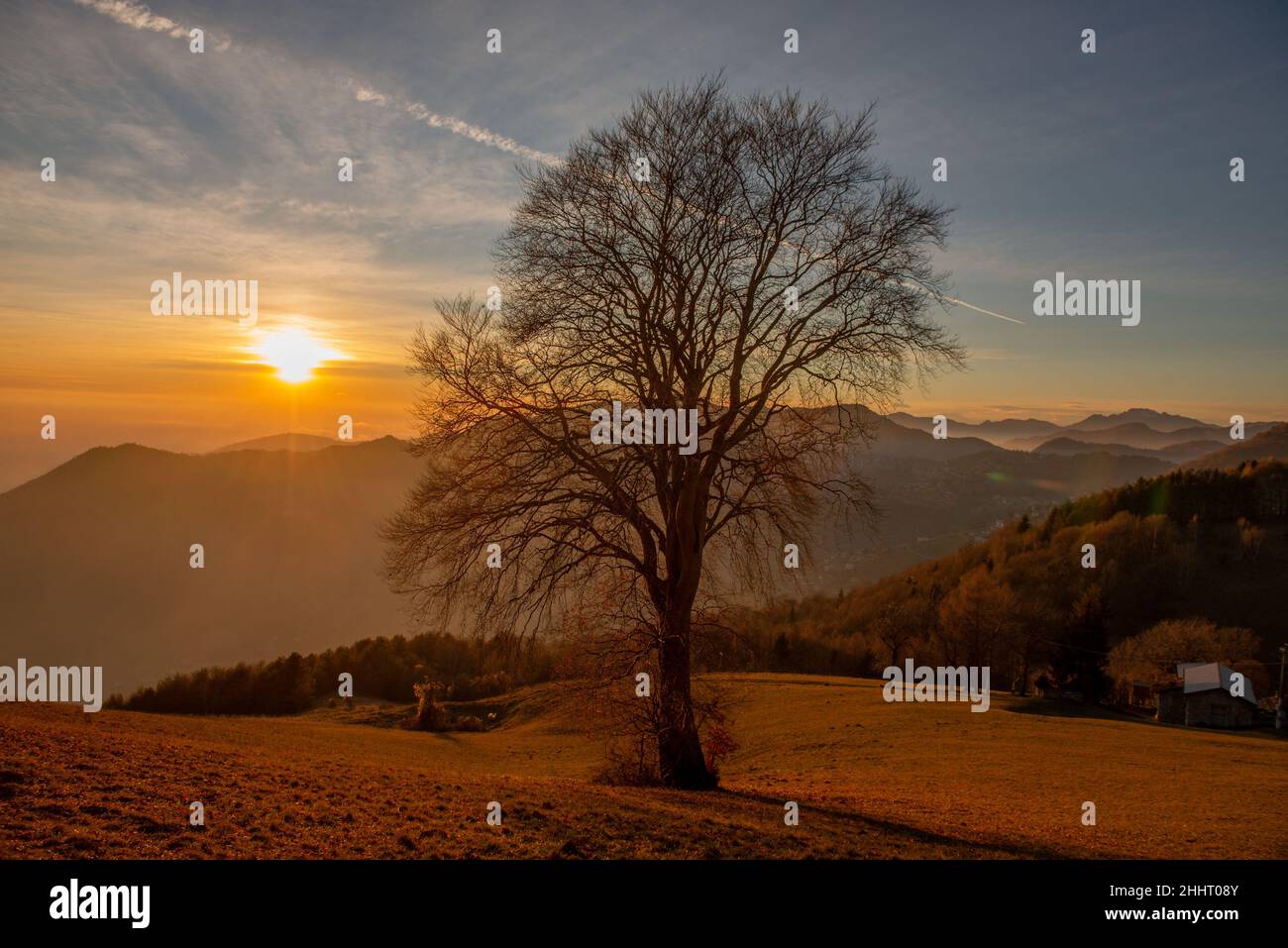 Backlight poster hi-res stock photography and images - Alamy